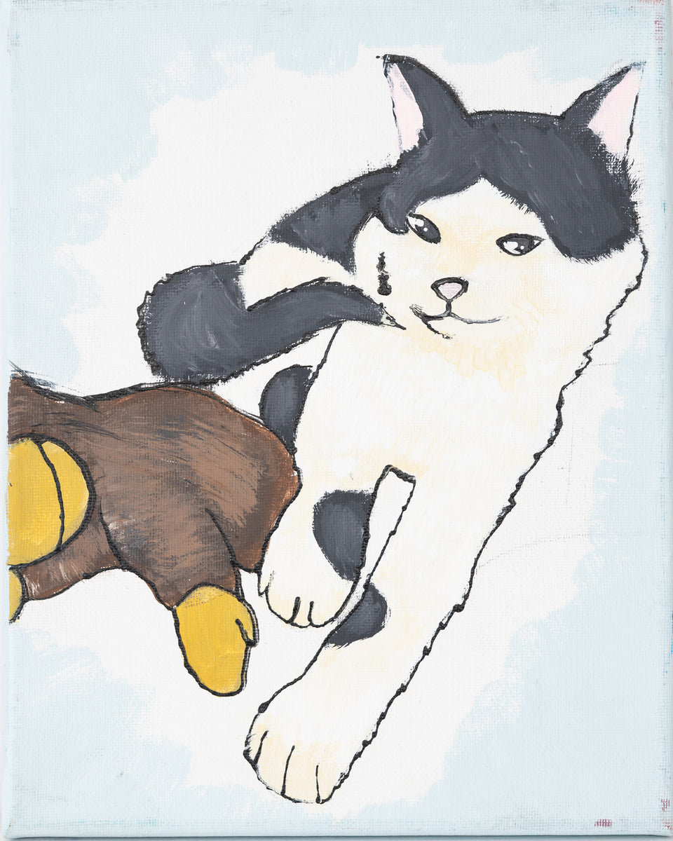 Orca the Cat – PawsWithCause